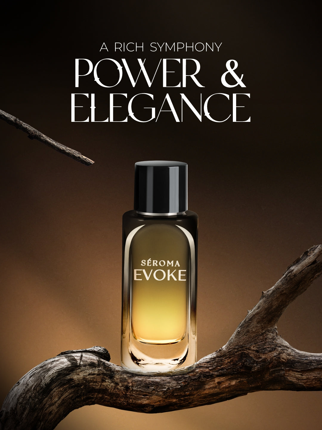 Buy Evoke Best Smelling Perfume Online at Best Price | Seroma Ventures